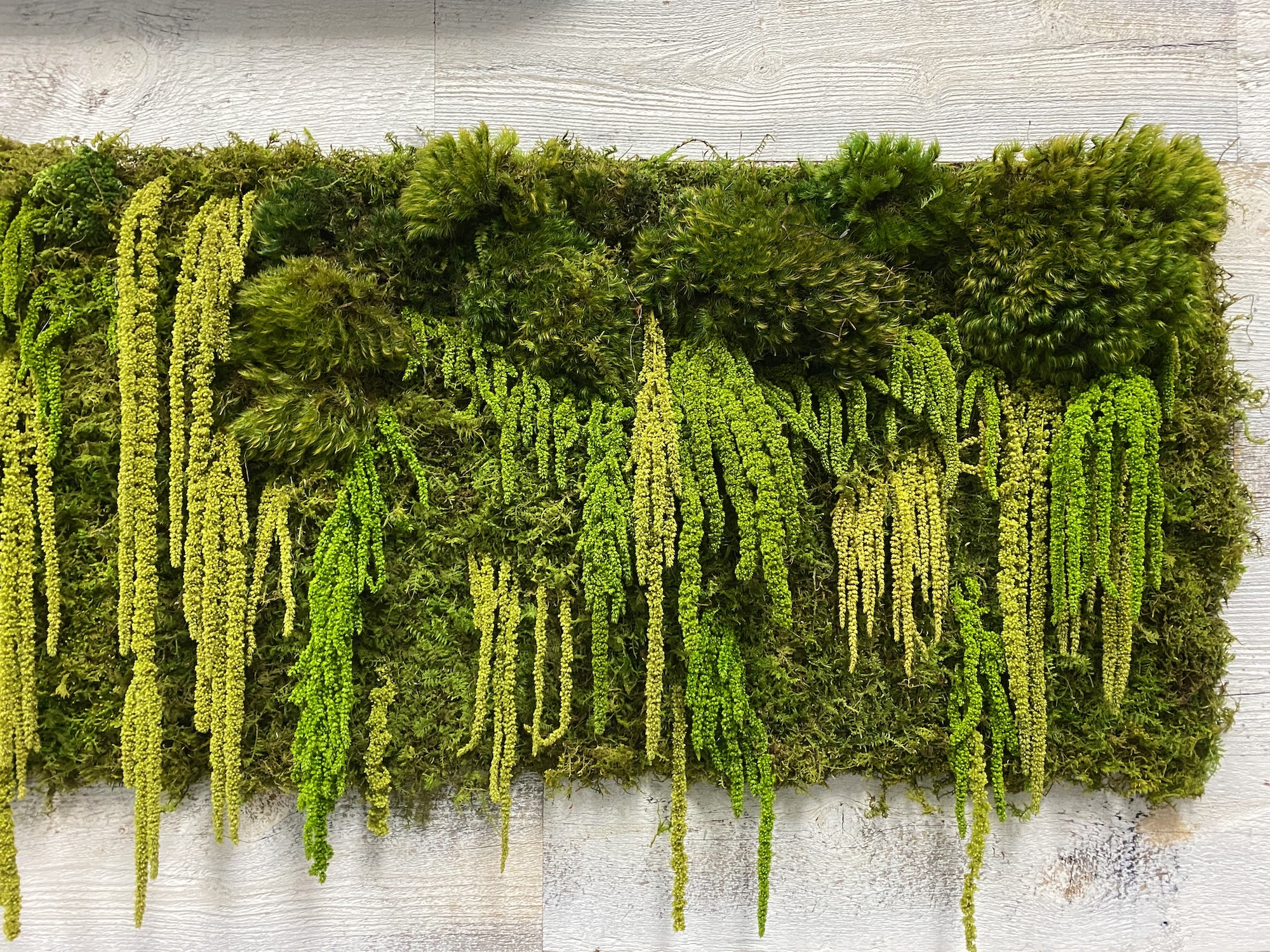 Mooswände im Büro: Eine innovative und nachhaltige Lösung für die ...